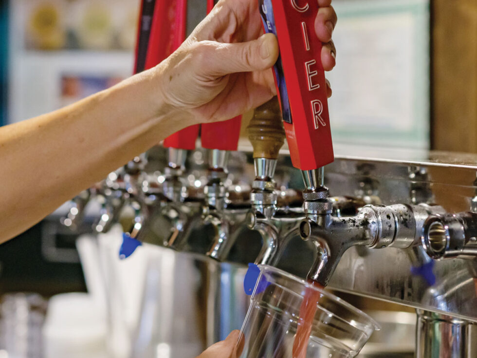 Hard Cider - Mercier Orchards